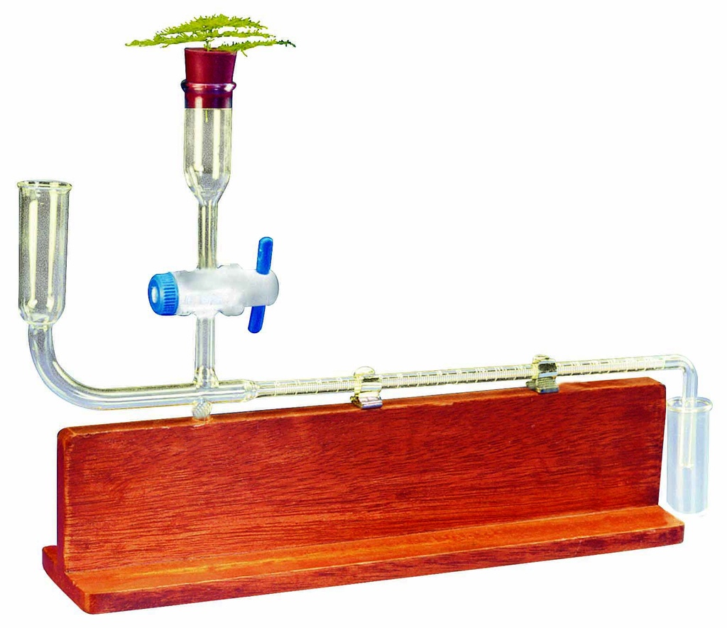 Potomètre | Sciencéthic